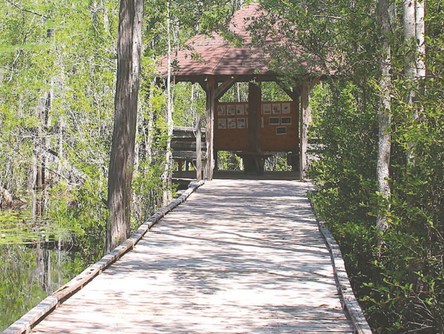 OSP gets $500k for walk